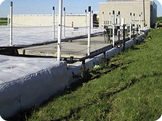 Turning cow manure into home heat - WEDC